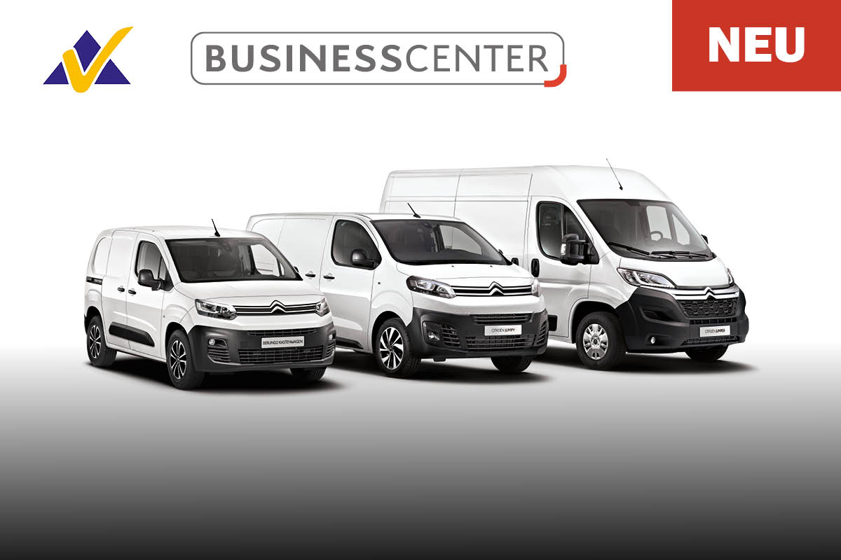 DELTA Automobile Opel, Ford, Hyundai, Citroen, DS